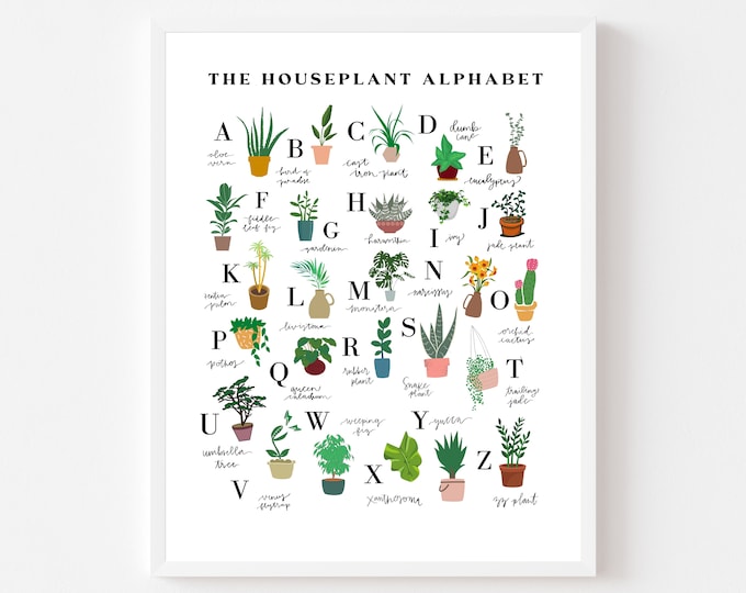 A-Z of Houseplants, Plant Poster, House Plants Print, Alphabet Print ...