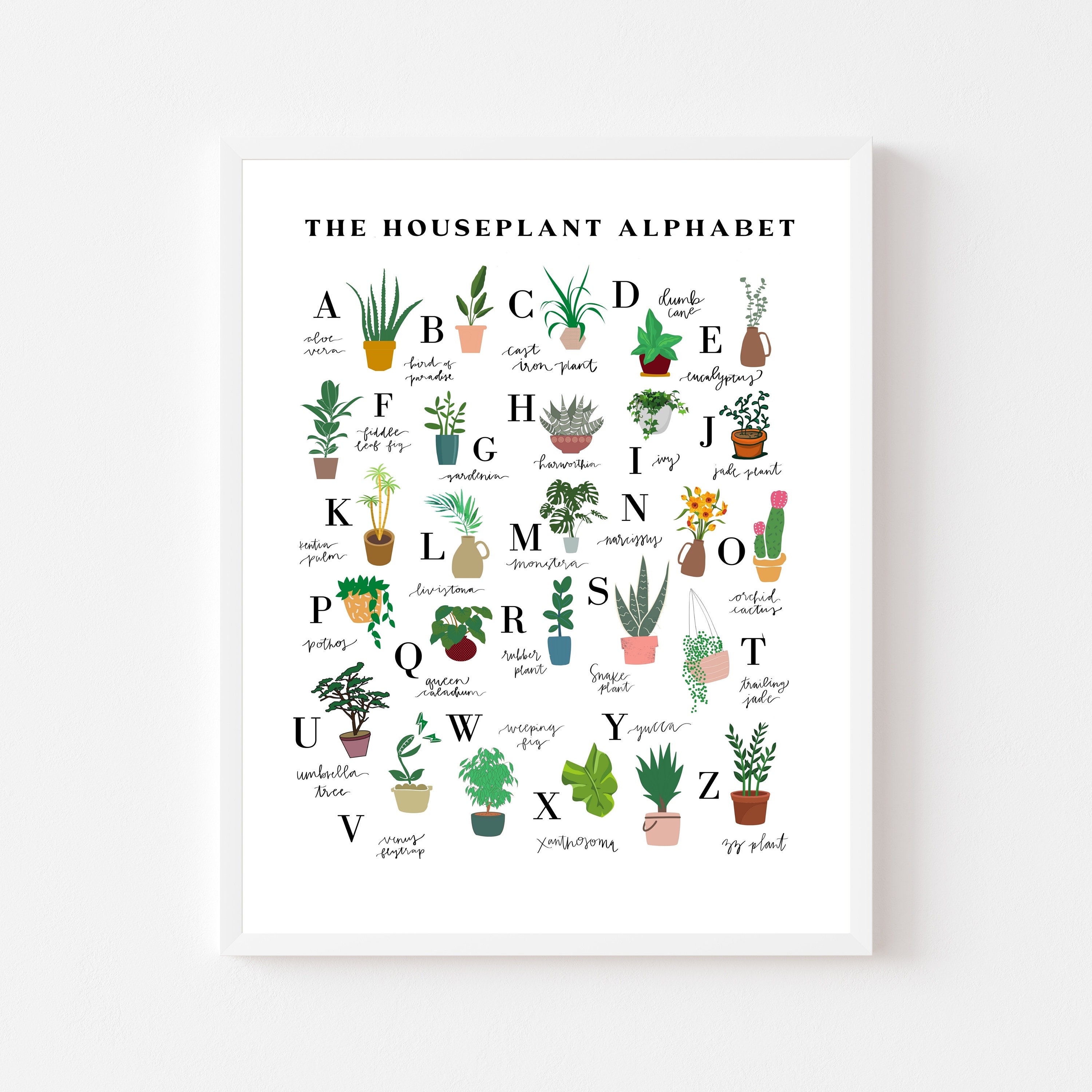 Houseplant Alphabet Print cursive Flowers/succulent/indoor | Etsy