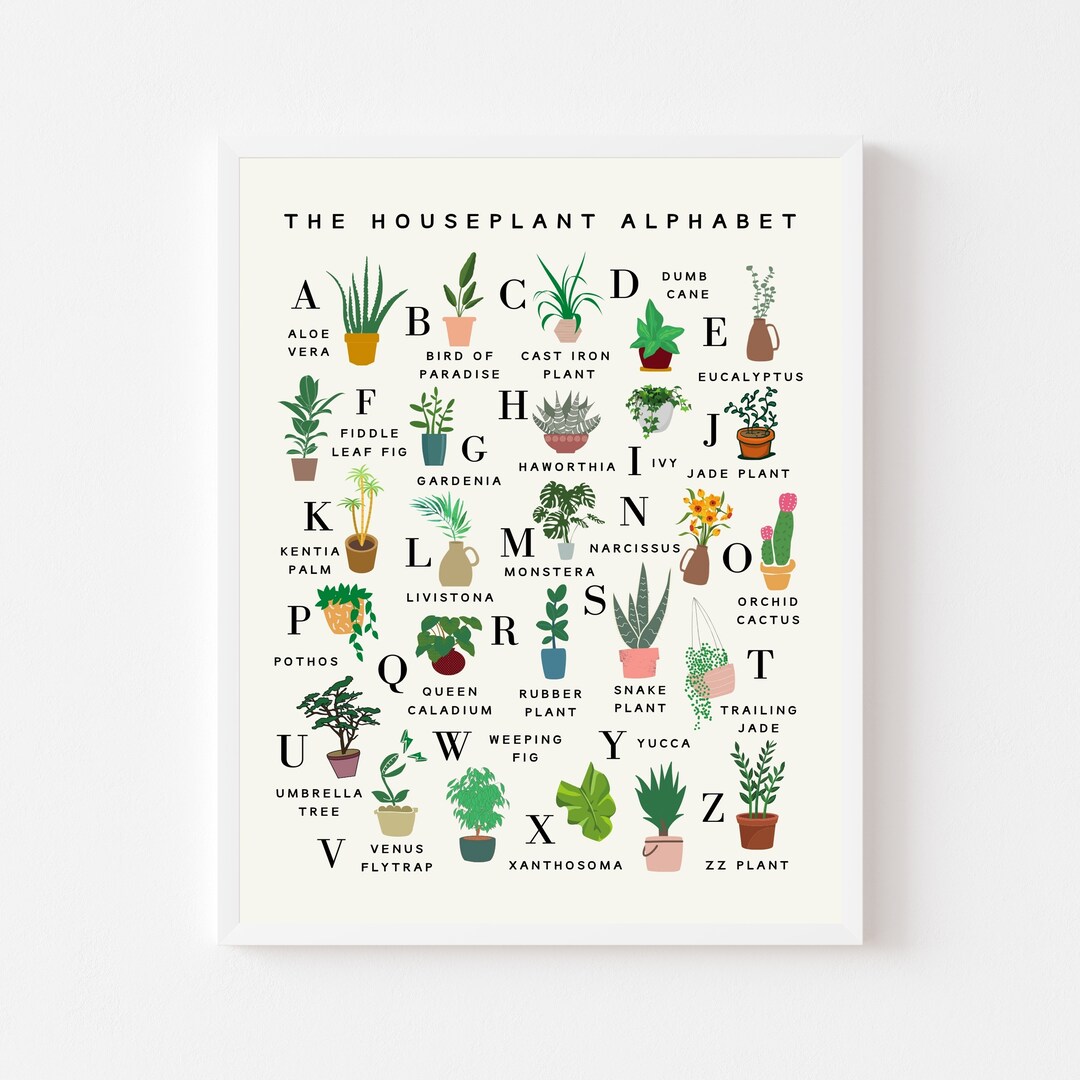 Houseplant Alphabet Print | Flowers/succulent/indoor Houseplant/tree ...