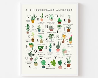 Cactus & Succulent Alphabet Chart Art Print - Etsy