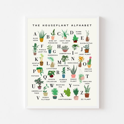 Houseplant Alphabet Print Flowers/succulent/indoor - Etsy