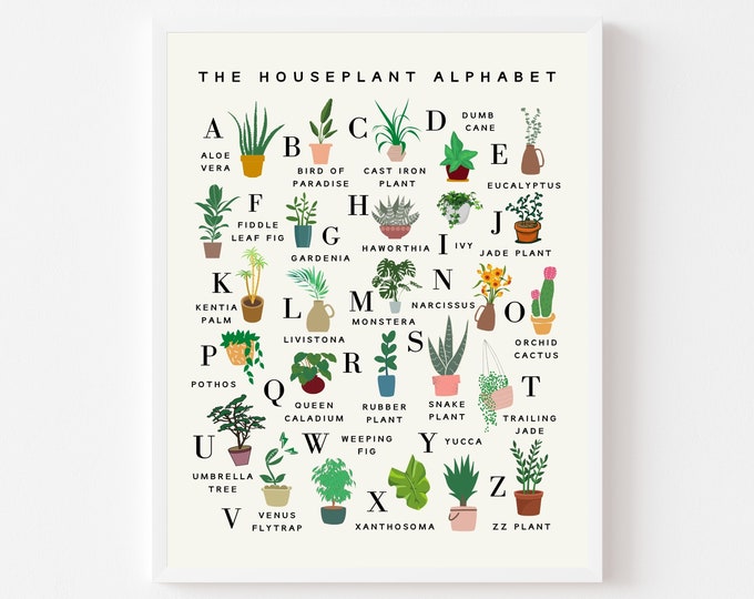 Cactus & Succulent Alphabet Chart Art Print - Etsy