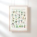 Houseplant Alphabet Print | Flowers/succulent/indoor Houseplant/tree ...
