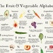 Fruit & Vegetable Alphabet Print | Produce/fruit Vegetable Abc's Poster ...