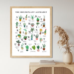 Houseplant Alphabet Print (cursive) | Flowers/succulent/indoor ...