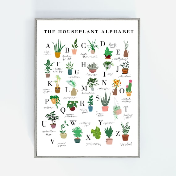 Houseplant Alphabet Print Cursive Flowers/Succulent/Indoor | Etsy