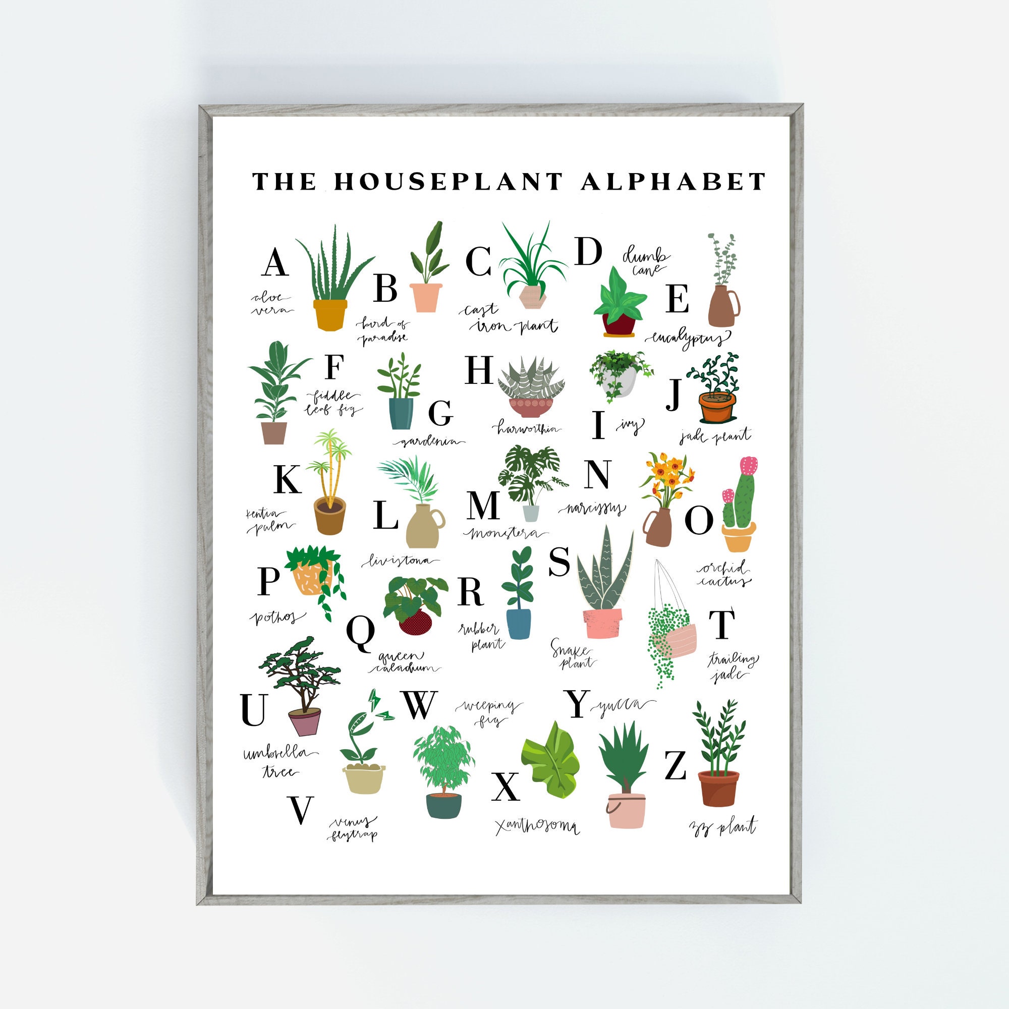 Houseplant Alphabet Print cursive Flowers/succulent/indoor - Etsy India