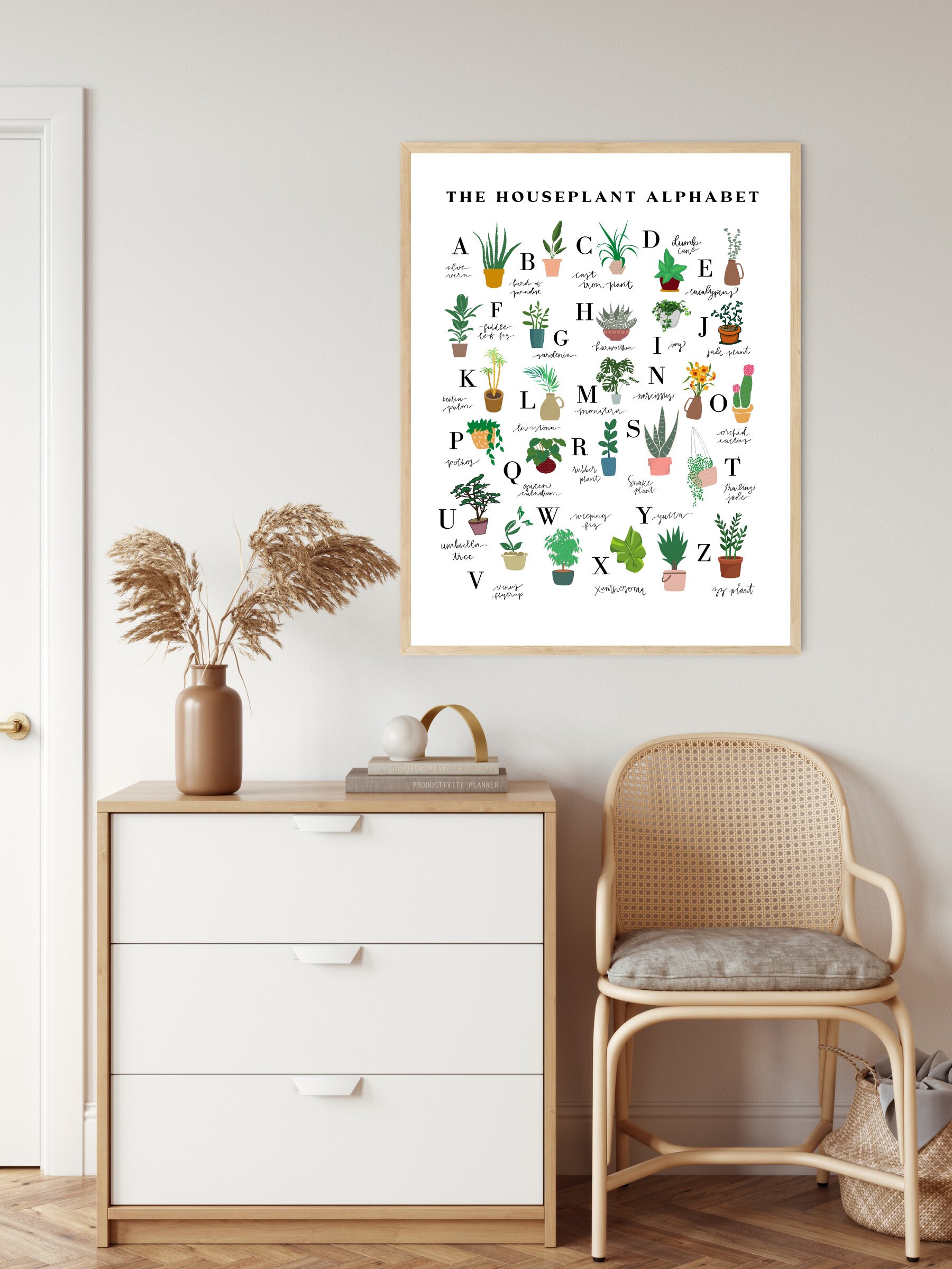 Houseplant Alphabet Print cursive Flowers/succulent/indoor | Etsy