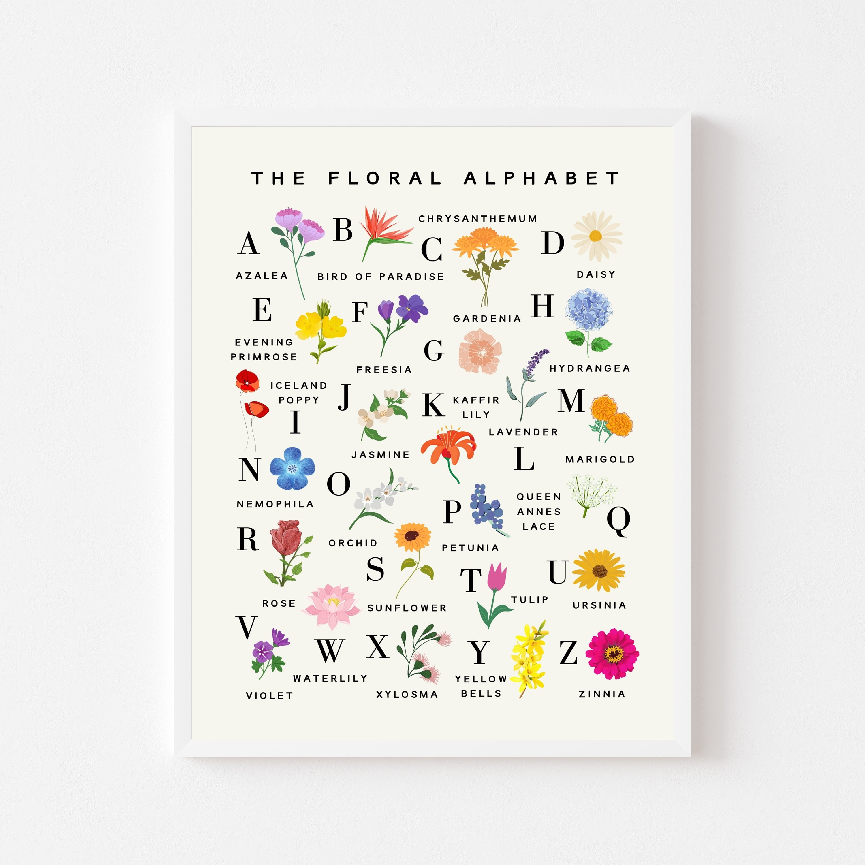 Floral Alphabet Print Flowers/floral/gardening Abc's Art - Etsy