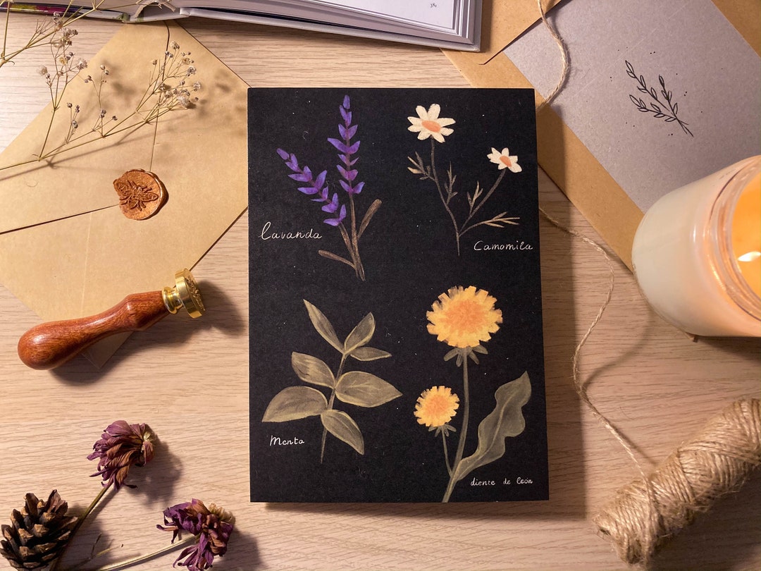 ''the Beauty of Small Things'' Print Limited Edition - Etsy