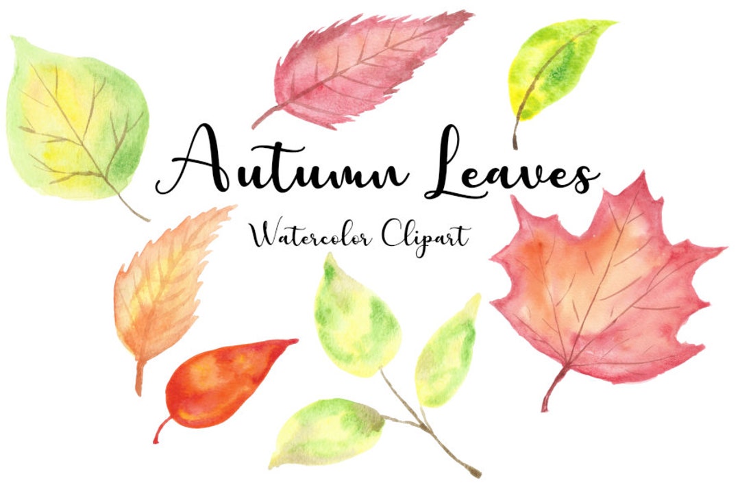 Watercolor Autumn Leaves Clipart, Fall Leaf Clip Art, 7 Hand Painted ...