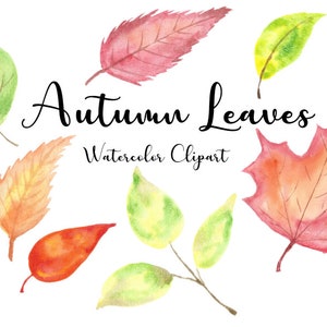 Watercolor Autumn Leaves Clipart Fall Leaf Clip Art 7 Hand - Etsy