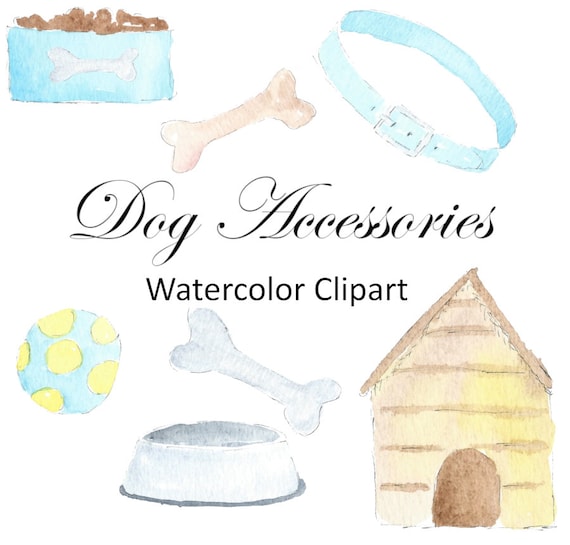 Dog Accessories Watercolor Clipart Pet Clip Art Hand Painted - Etsy