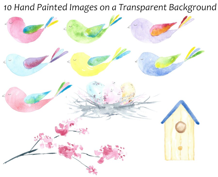 Little Birds Watercolor Clipart Cute Hand Painted PNG - Etsy