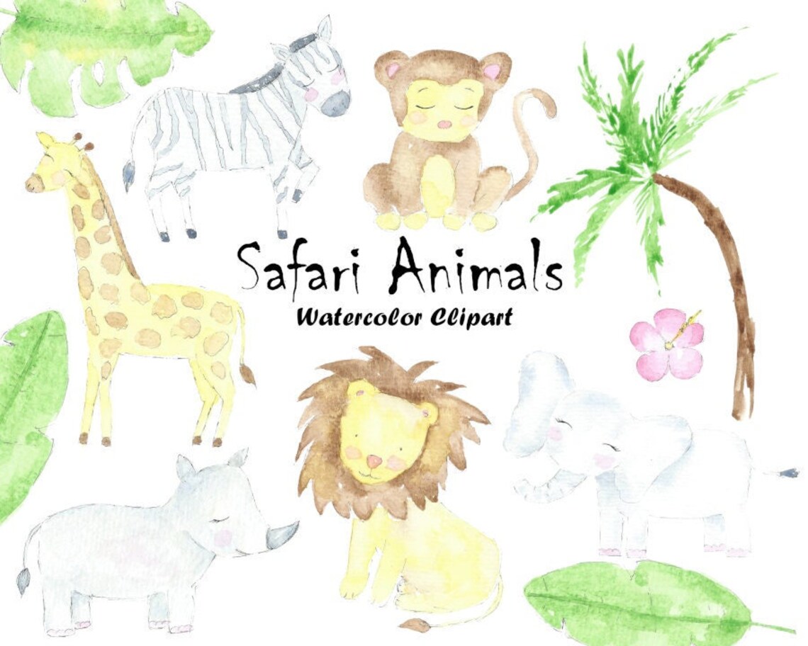 Safari Animals Watercolor Clipart Illustration Hand Painted - Etsy