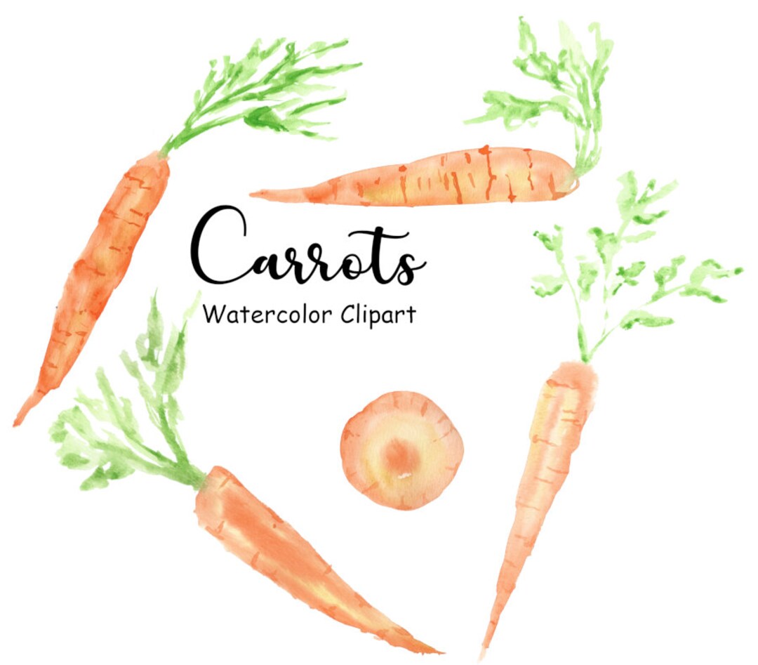 Watercolor Carrots, 5 Hand Painted PNG Watercolor Vegetables Graphics ...