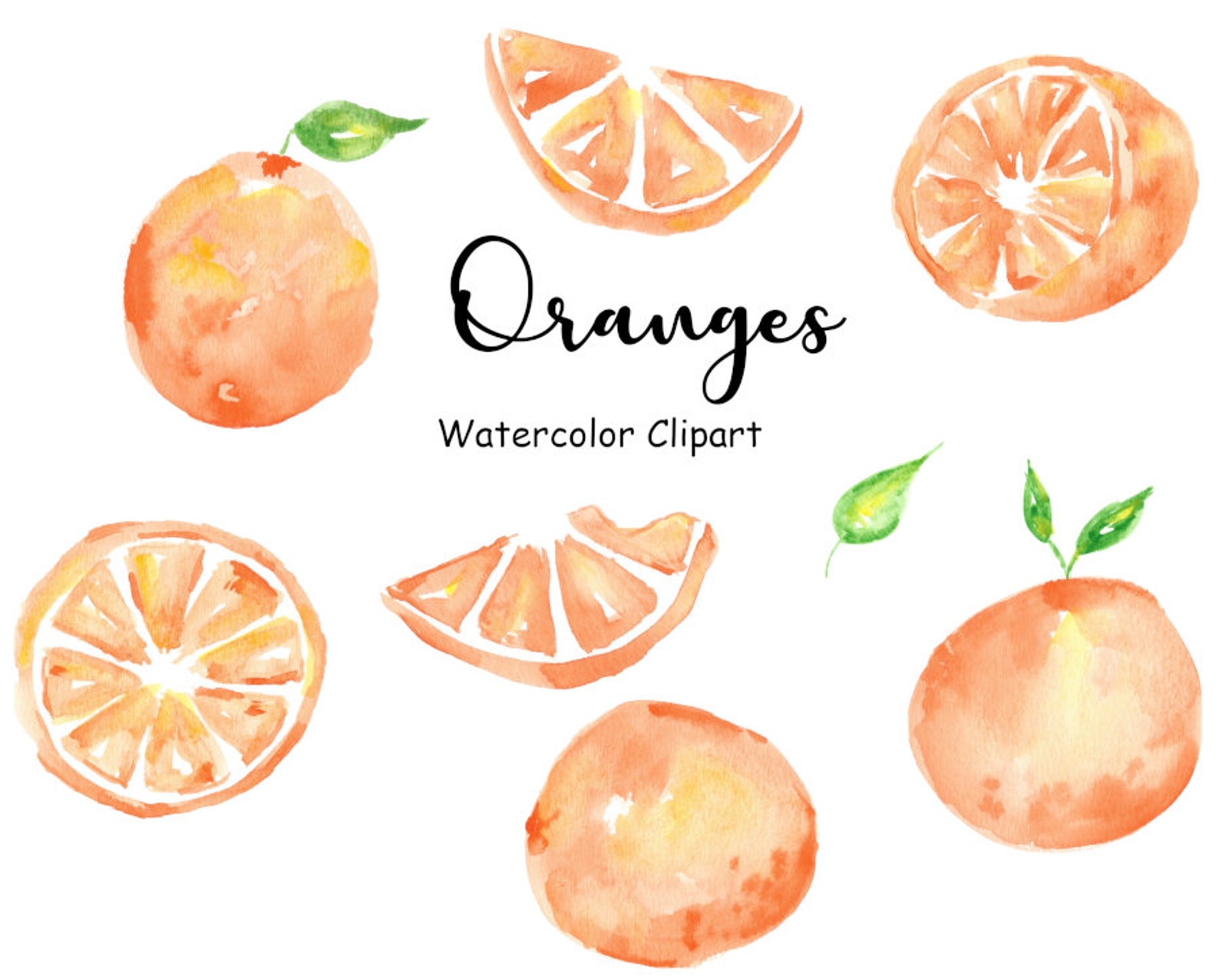 Watercolor Oranges Clipart 8 Hand Painted PNG Watercolor | Etsy