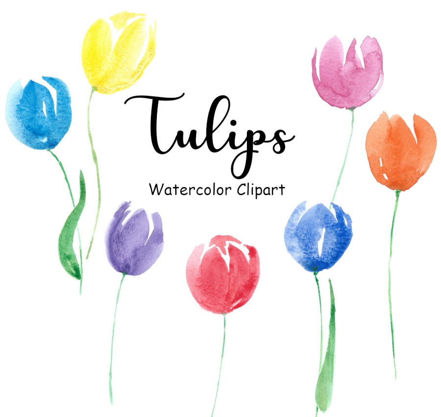 Tulips Watercolor Flower Clipart 9 Hand Painted Clip Art PNG - Etsy