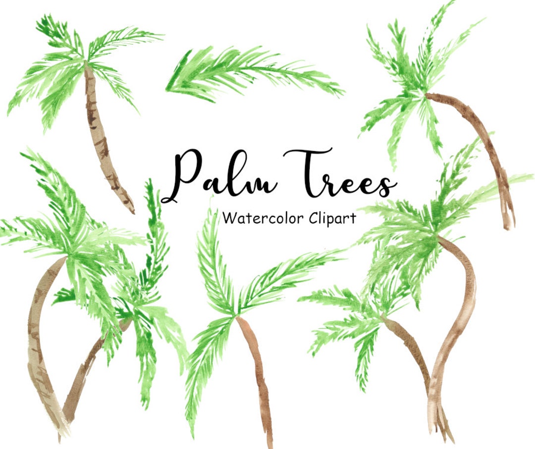 Watercolor Palm Trees Clipart, 8 Hand Painted PNG Tropical Watercolor ...