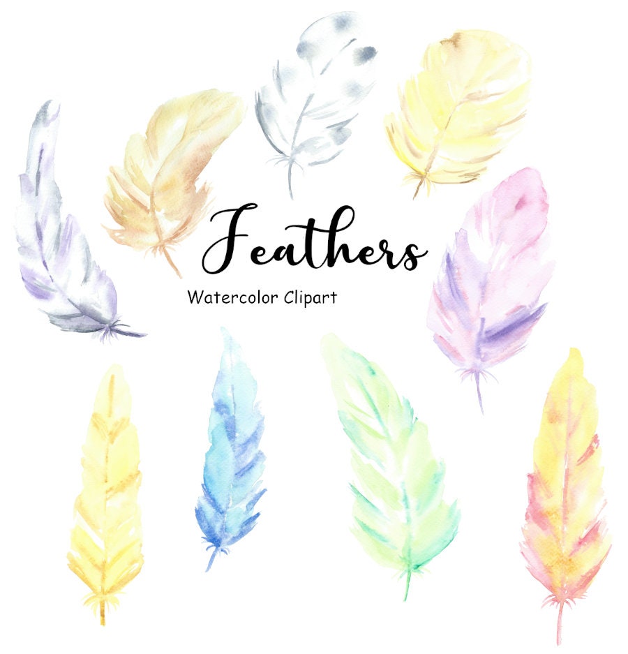 Watercolor Feathers Clipart Hand Painted Boho Tribal Bird | Etsy