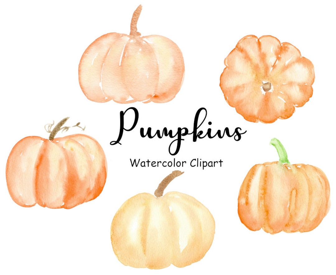 Watercolor Pumpkin Clipart, 5 Hand Painted PNG Watercolor Vegetables ...