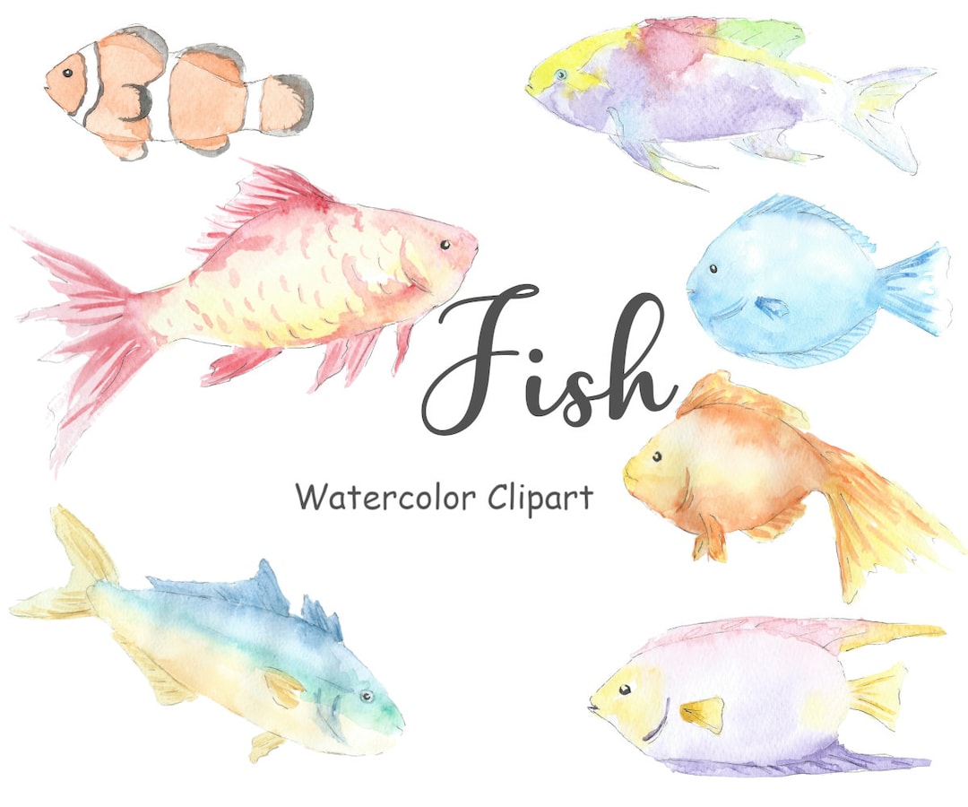 Watercolor Fish Clipart, 7 Hand Painted PNG Watercolor Graphics ...