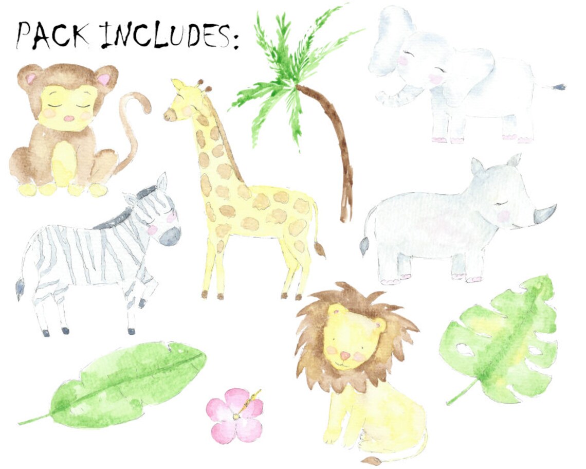 Safari Animals Watercolor Clipart Illustration Hand Painted - Etsy
