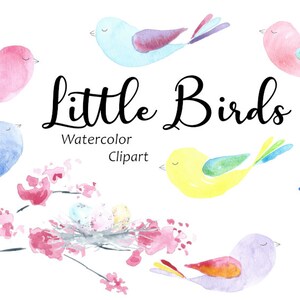 Little Birds Watercolor Clipart Cute Hand Painted PNG - Etsy