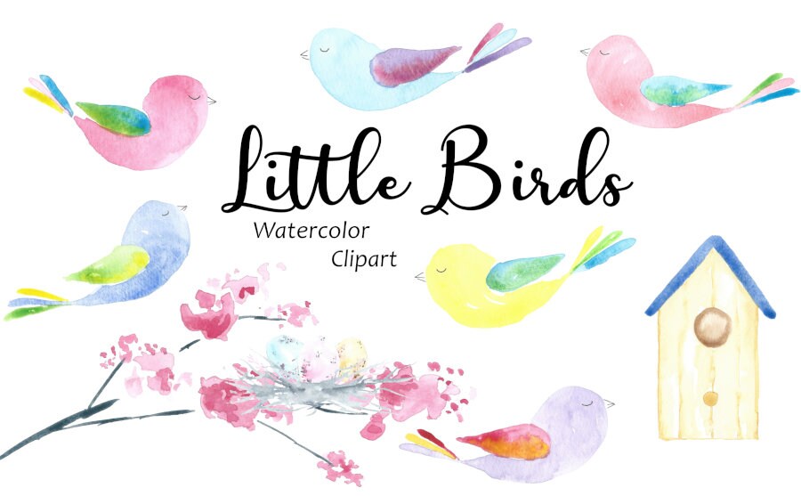 Little Birds Watercolor Clipart Cute Hand Painted PNG - Etsy