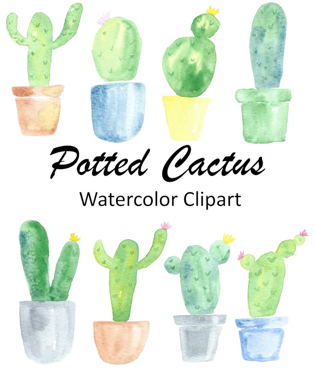 Watercolor Cacti Clipart, 8 Hand Painted PNG Potted Cacti Watercolor ...