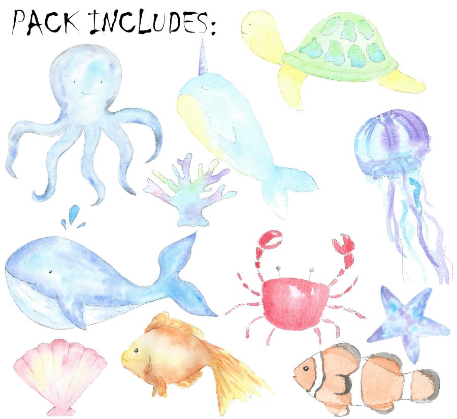 Sea Animals Watercolor Clipart Illustration, Ocean Life Clip Art, Hand ...