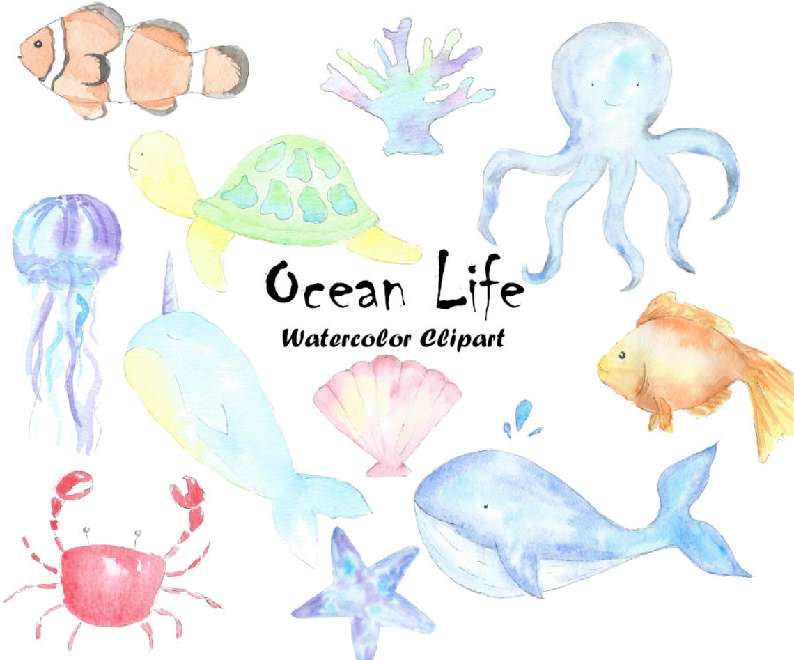 Sea Animals Watercolor Clipart Illustration Ocean Life Clip - Etsy