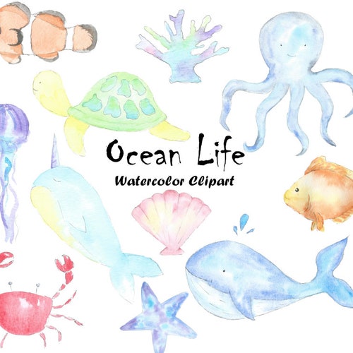 Sea Life Clipart 25 Cute Ocean Animals Clip Art Set - Etsy Australia