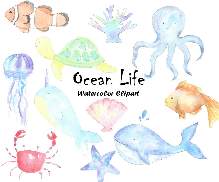 Sea Animals Watercolor Clipart Illustration Ocean Life Clip - Etsy