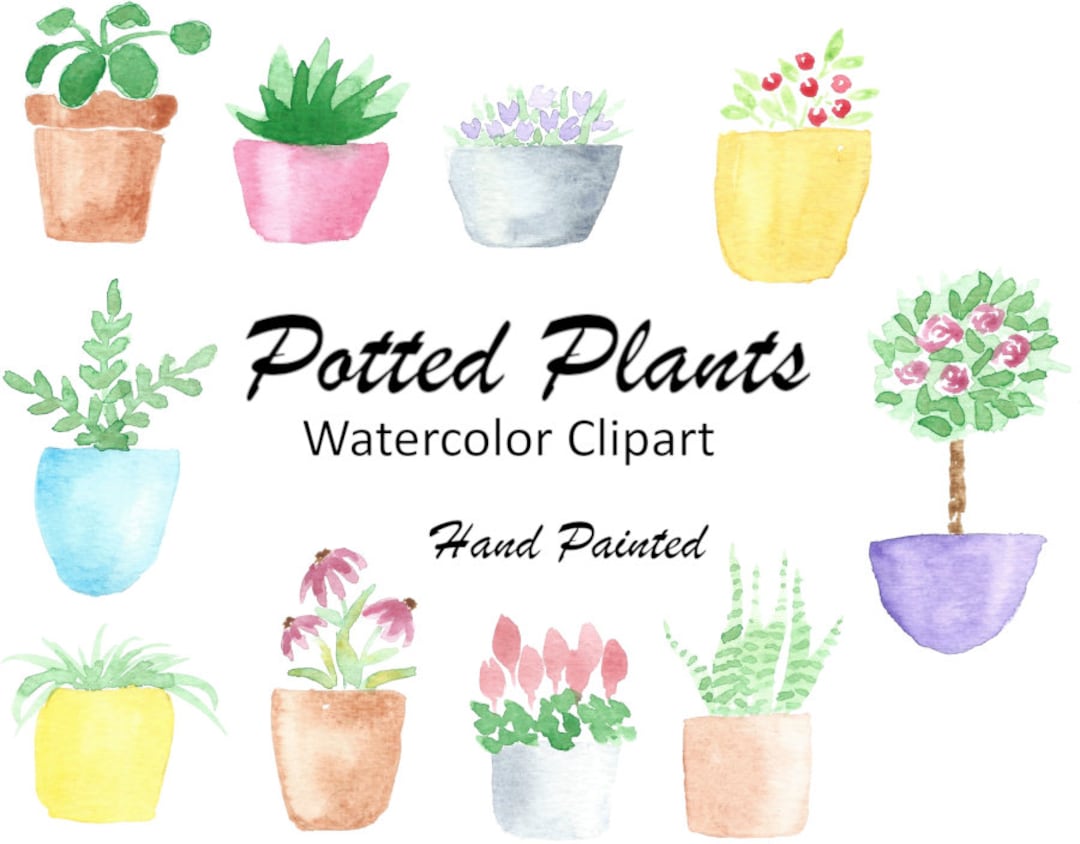 Watercolor Potted Plants Clipart, 10 Hand Painted PNG Flower Watercolor ...