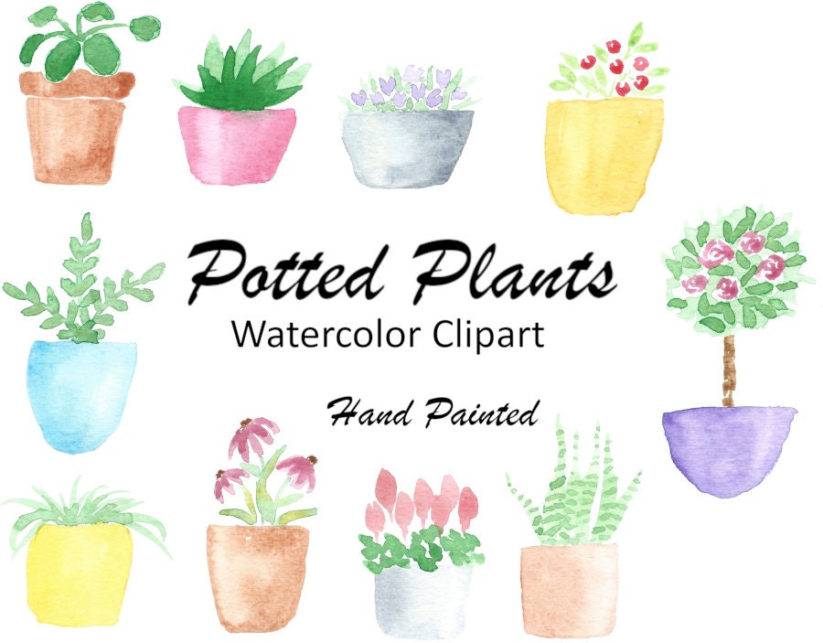 Watercolor Potted Plants Clipart 10 Hand Painted PNG Flower - Etsy