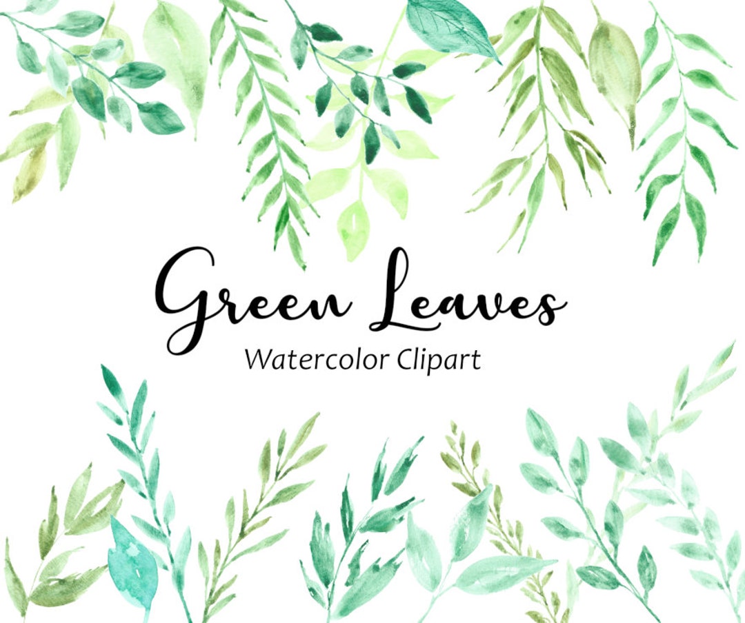 Green Leaves Watercolor Clipart, Greenery Clip Art, 20 Hand Painted PNG ...