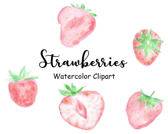 Watercolor Strawberry Clipart 5 Hand Painted PNG Watercolor | Etsy