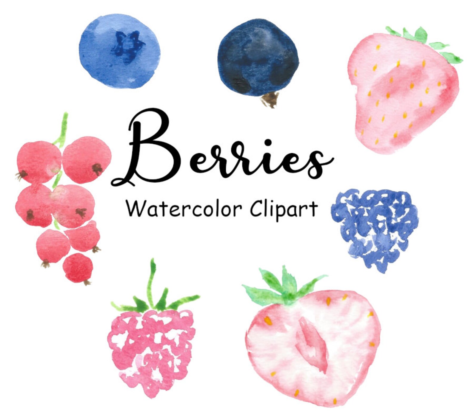 Watercolor Berries Clipart 7 Hand Painted PNG Watercolor - Etsy
