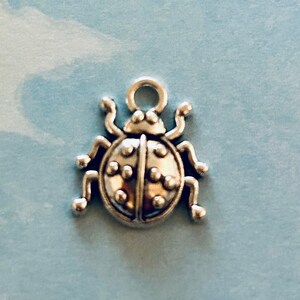 Lady Bug Charm 6 Charms Bug Charms - Etsy
