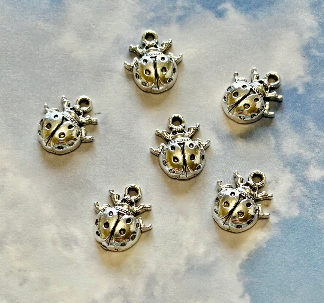 Lady Bug Charm 6 Charms Bug Charms - Etsy