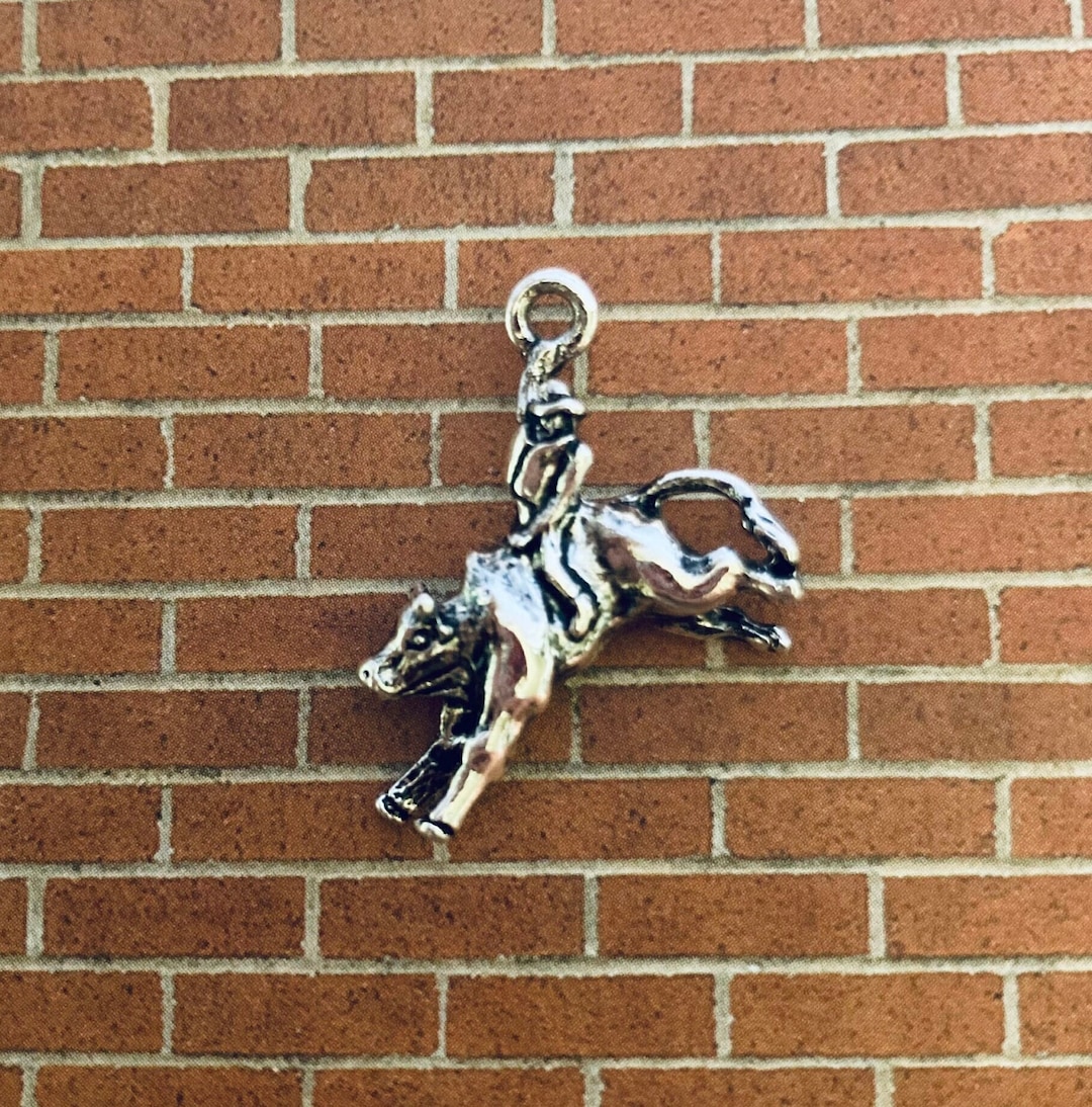 Bull Rider Charms, Bull Charms, Steer Charms, Rodeo Charms 6 or 12 ...