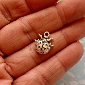 Lady Bug Charm 6 Charms Bug Charms - Etsy