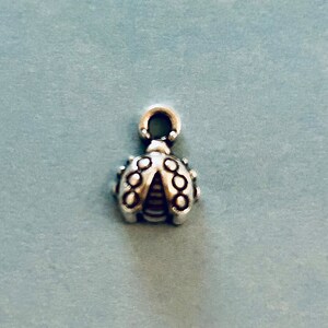 Lady Bug Charm 6 Charms Bug Charms - Etsy