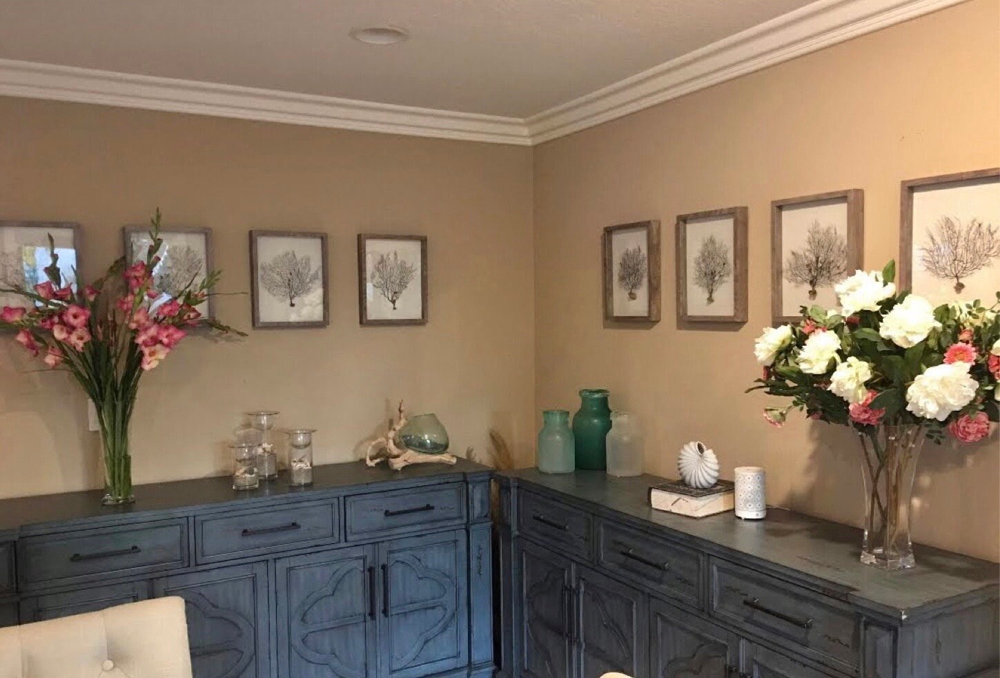 Framed Sea Fan Coral Grey Shadowbox - Etsy