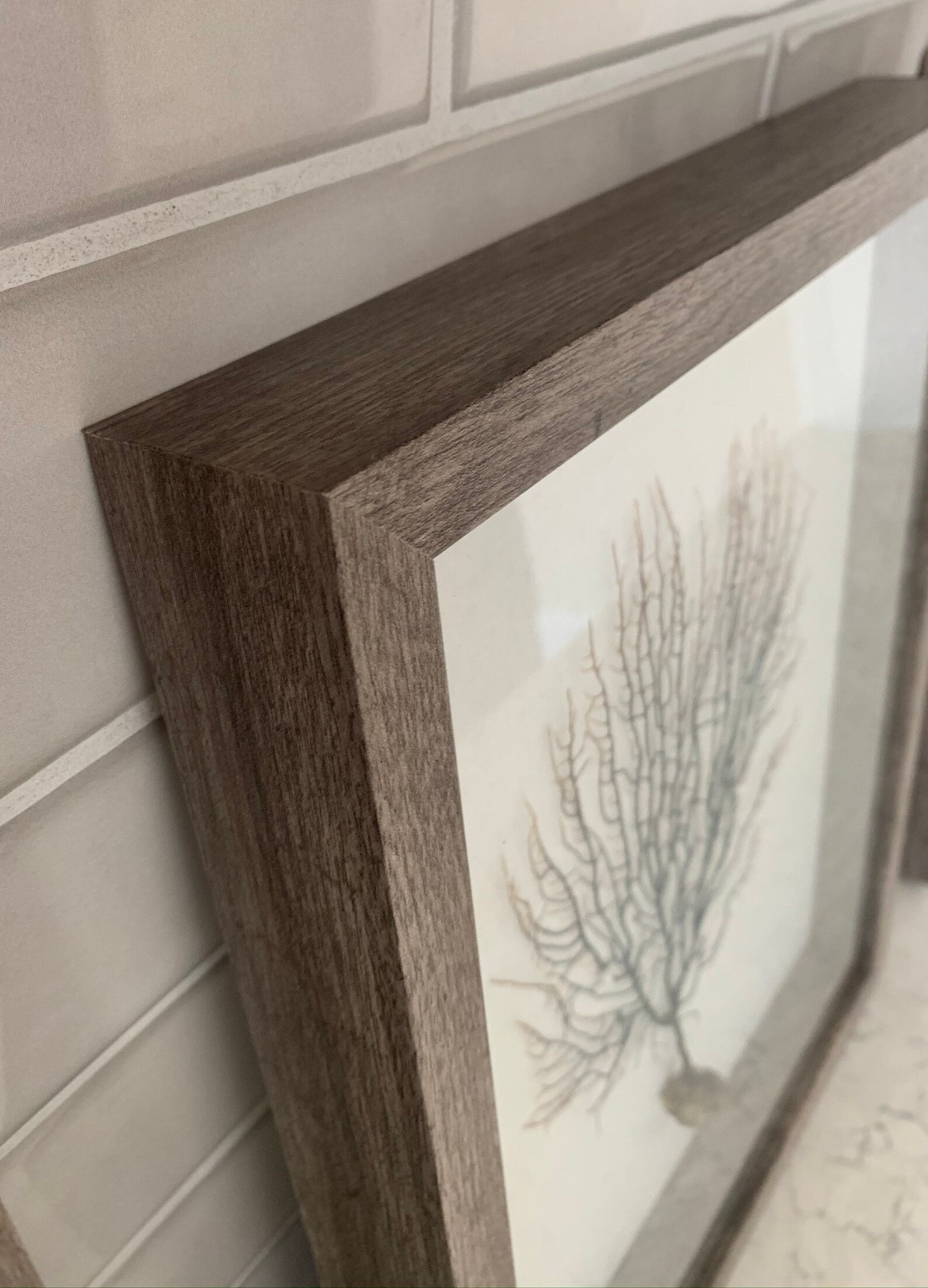 Framed Sea Fan Coral Grey Shadowbox - Etsy