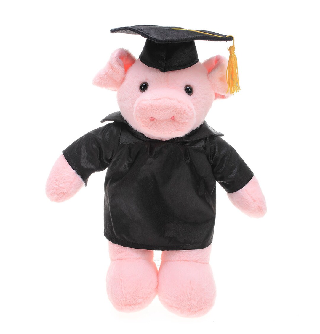 8 Inch Graduation Pig Plush Stuffed Animal Toys With Cap and ...