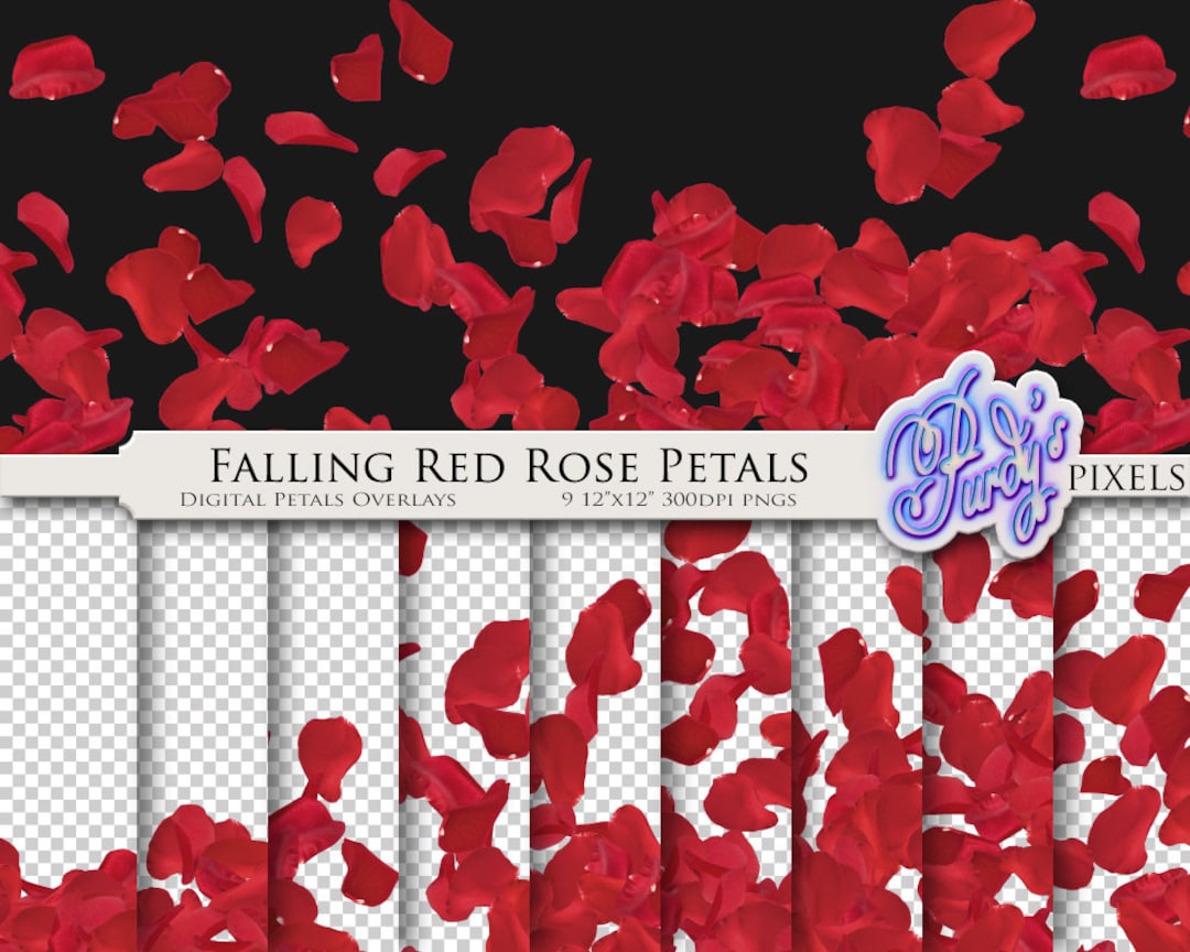Digital Rose Petals Overlays - 9 Seamless Falling Red Roses Borders for ...