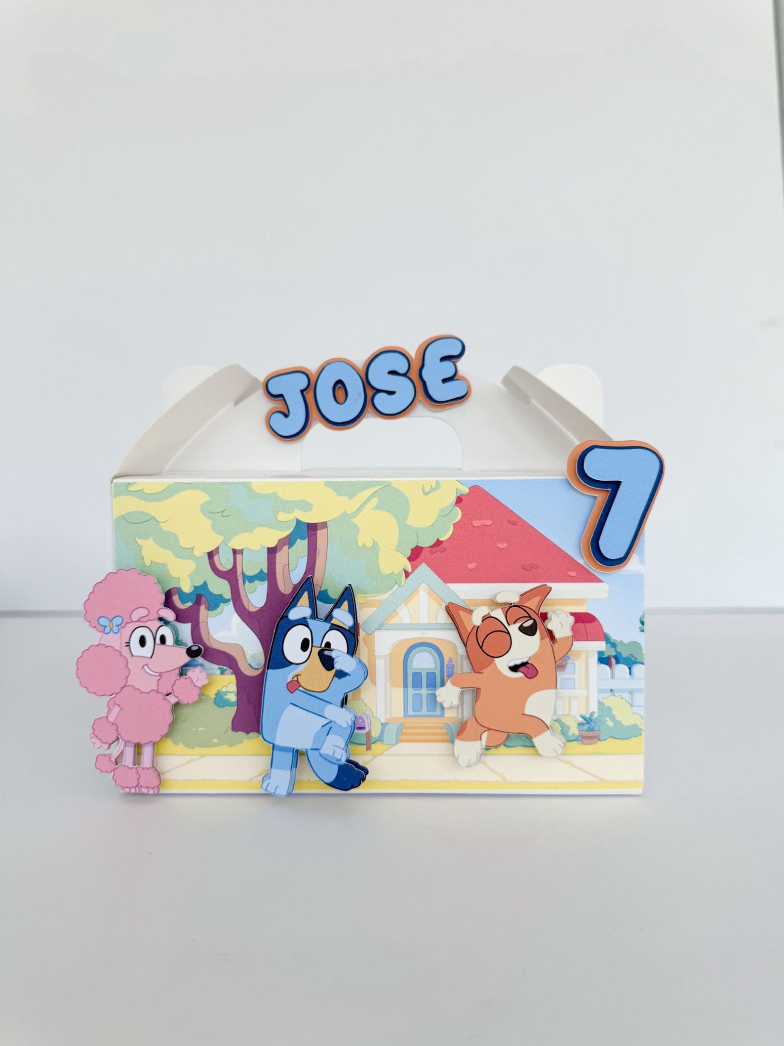 Bluey Gable Box - Bluey Party Favor - Bluey Personalized - Etsy
