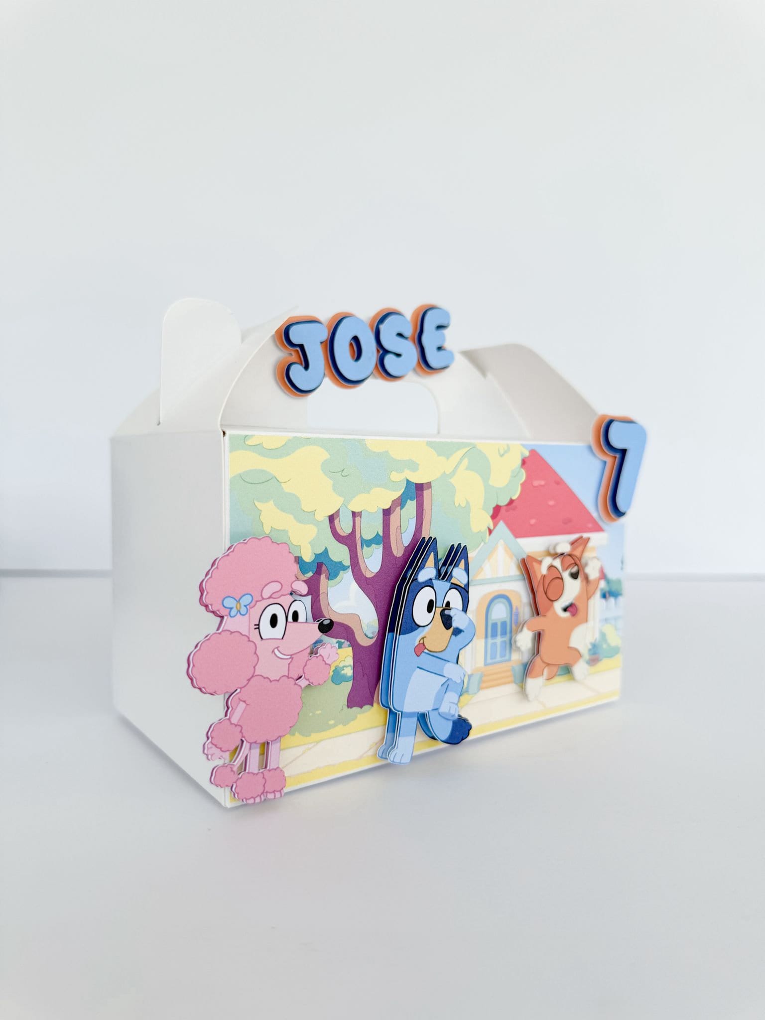 Bluey Gable Box - Bluey Party Favor - Bluey Personalized - Etsy